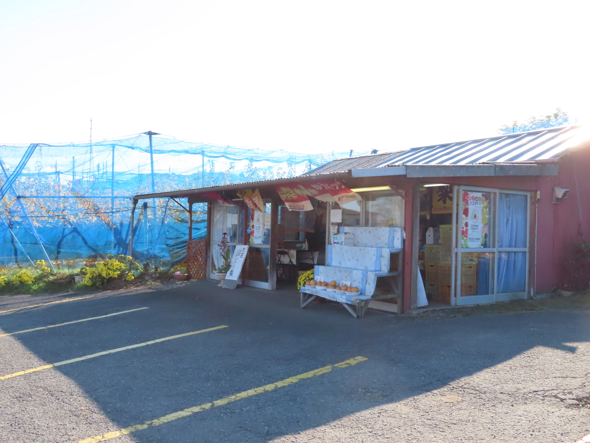 高崎市下里見町：郷見神社と古墳など（その2）: 怠け者の散歩道2