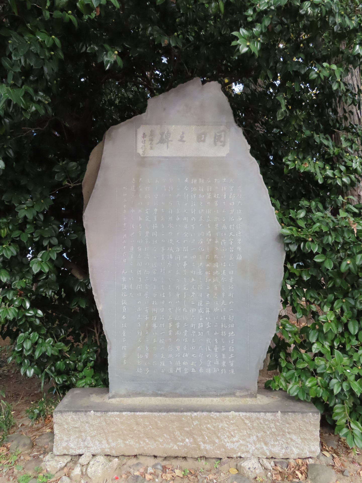 熊谷市妻沼台：白山神社: 怠け者の散歩道2