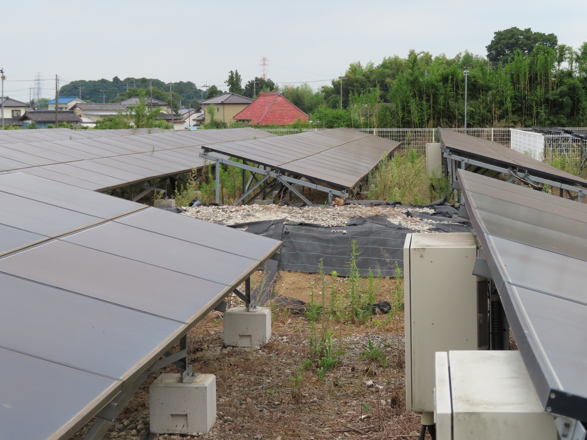 栃木市藤岡町甲：ヨトウチ古墳群: 怠け者の散歩道2