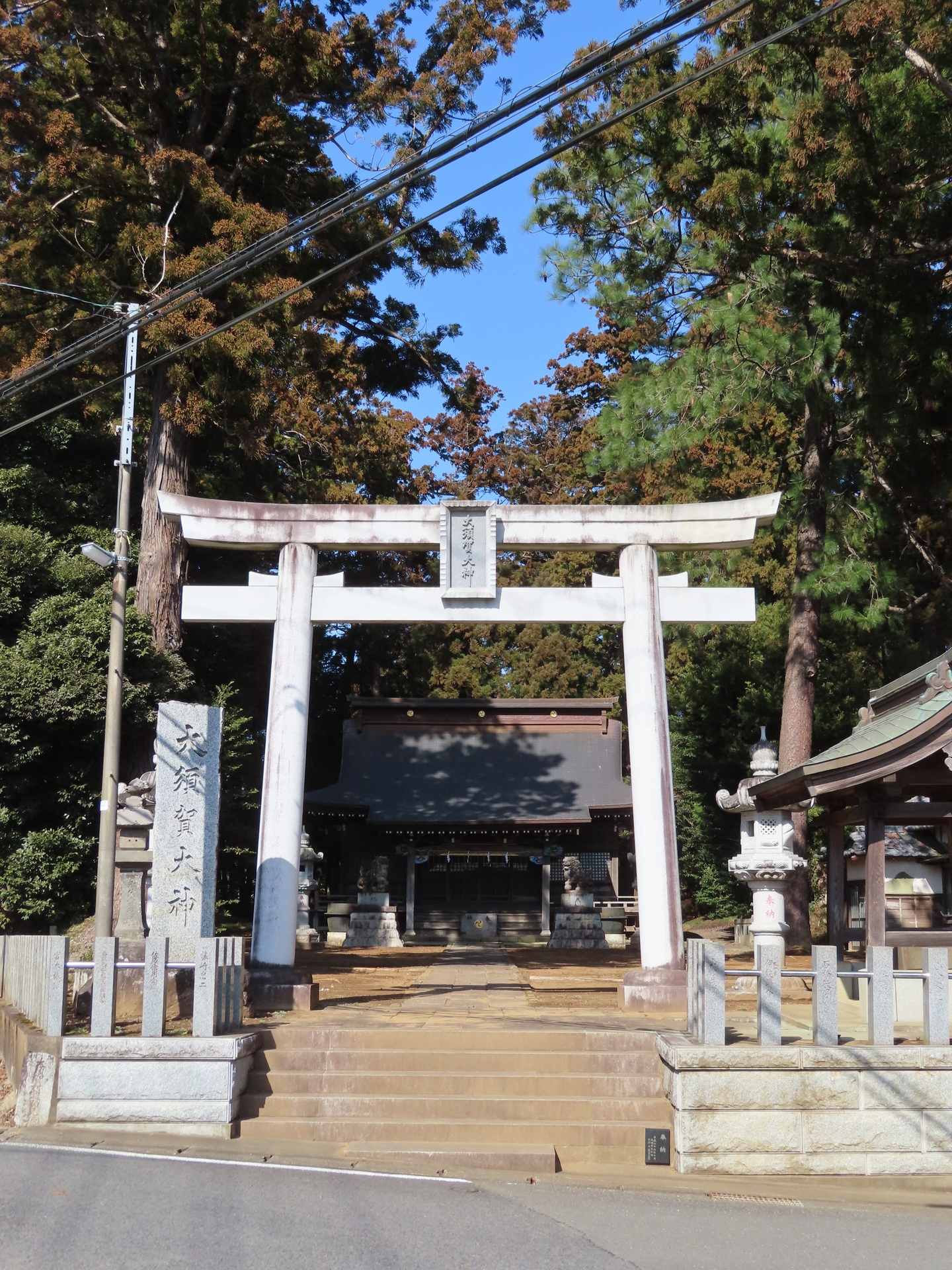 成田市伊能：大須賀大神: 怠け者の散歩道2