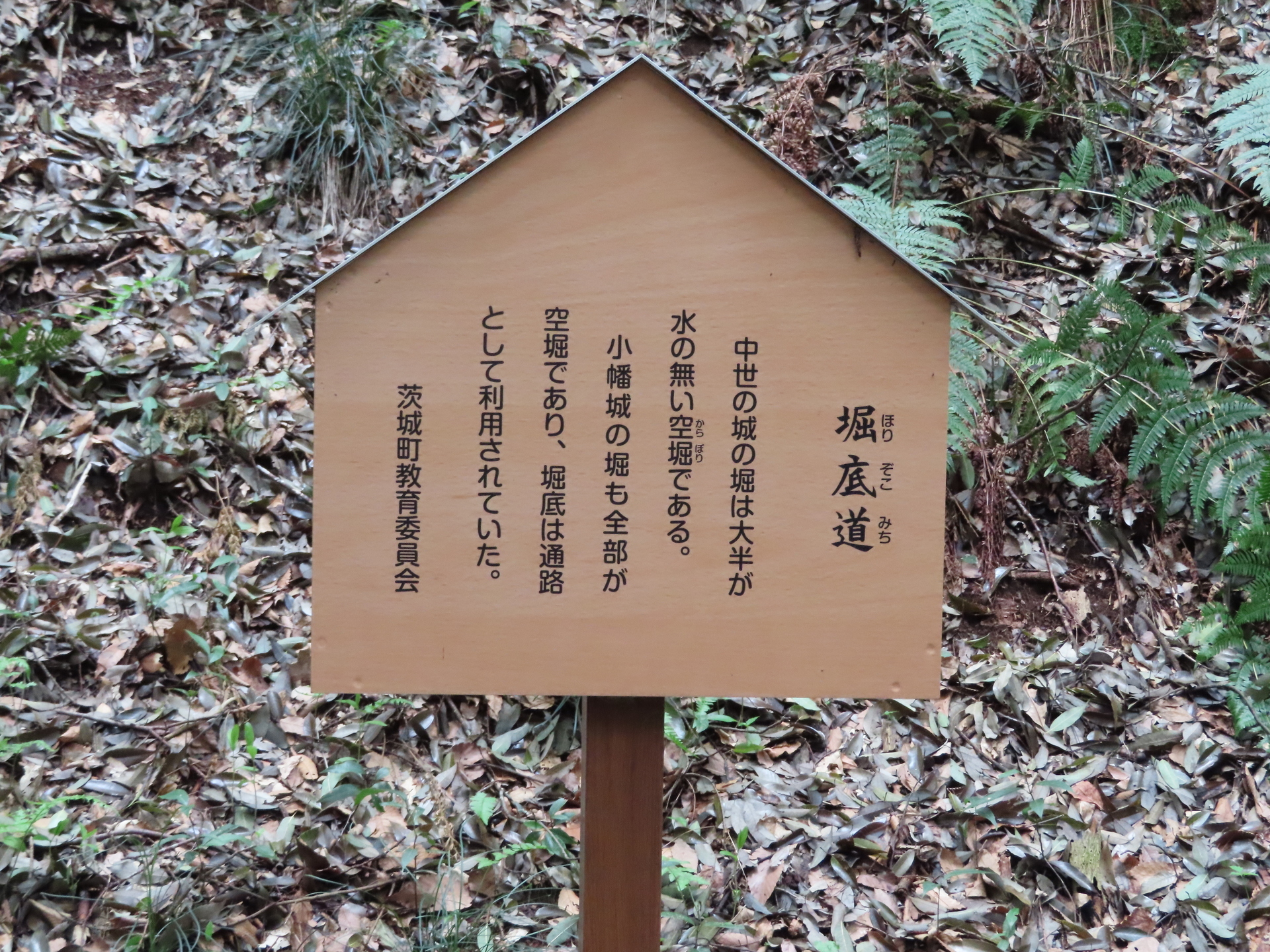 茨城県東茨城郡茨城町小幡：小幡城跡（その1）: 怠け者の散歩道2