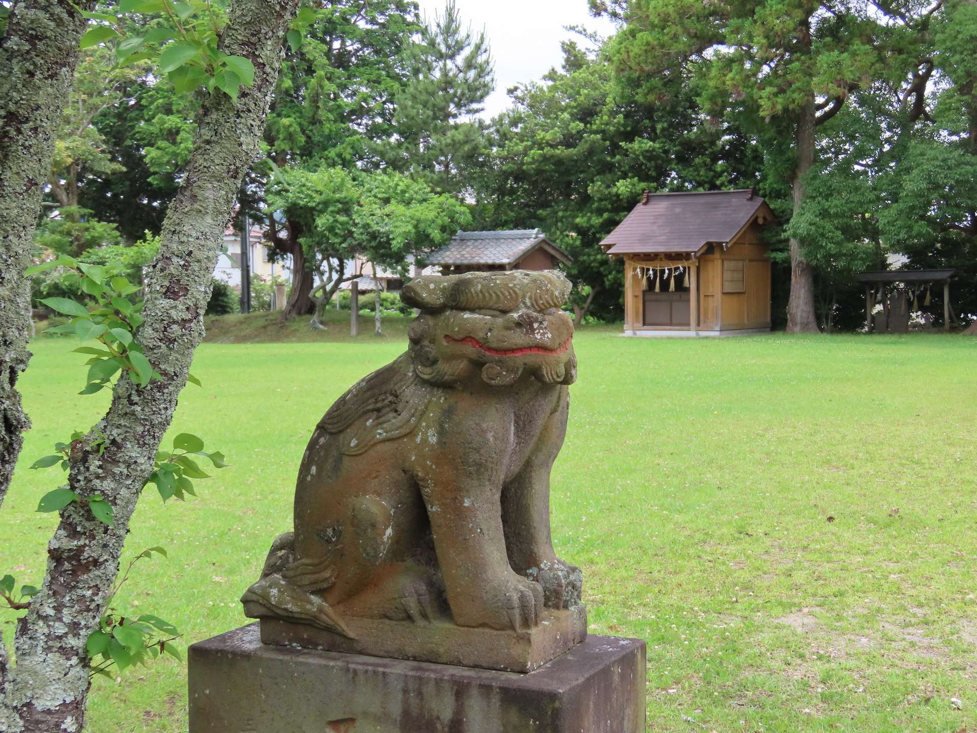 いすみ市岬町長者：天神社: 怠け者の散歩道2